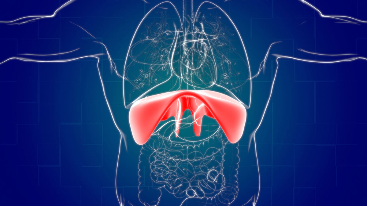 When Hiccups Become Chronic: Causes and Medical Evaluation - Ohealth ...